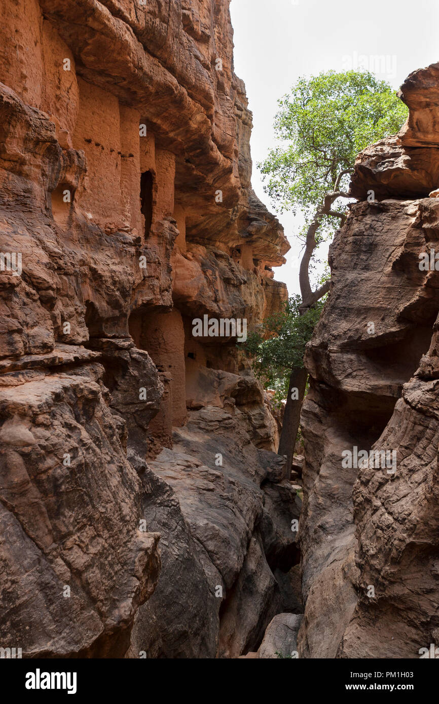 Traditional Dogon buildings in one of the Youga villages in Dogon ...