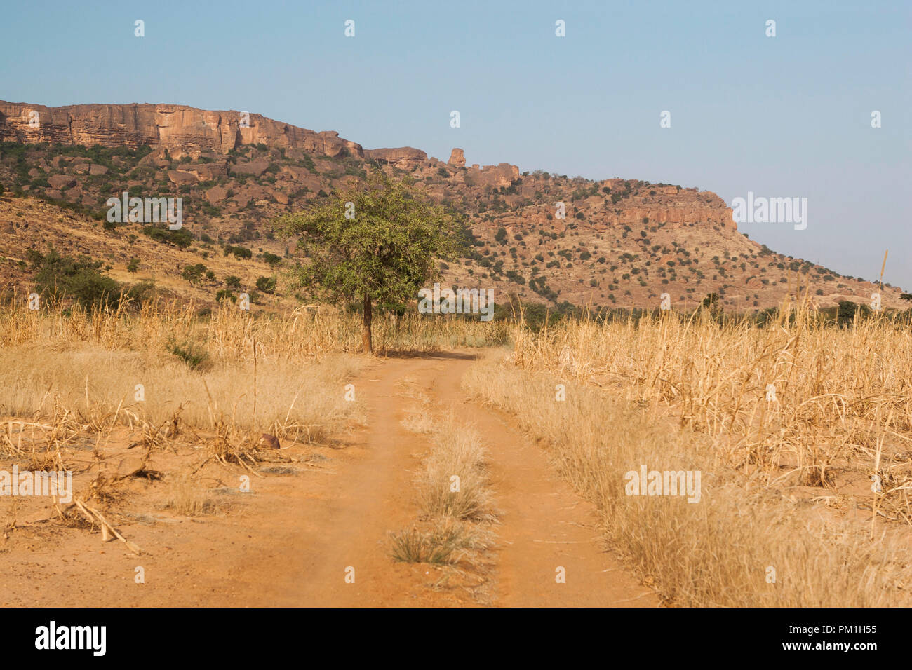 Country road in sahel landscape in Dogon country, Mali, Africa Stock ...