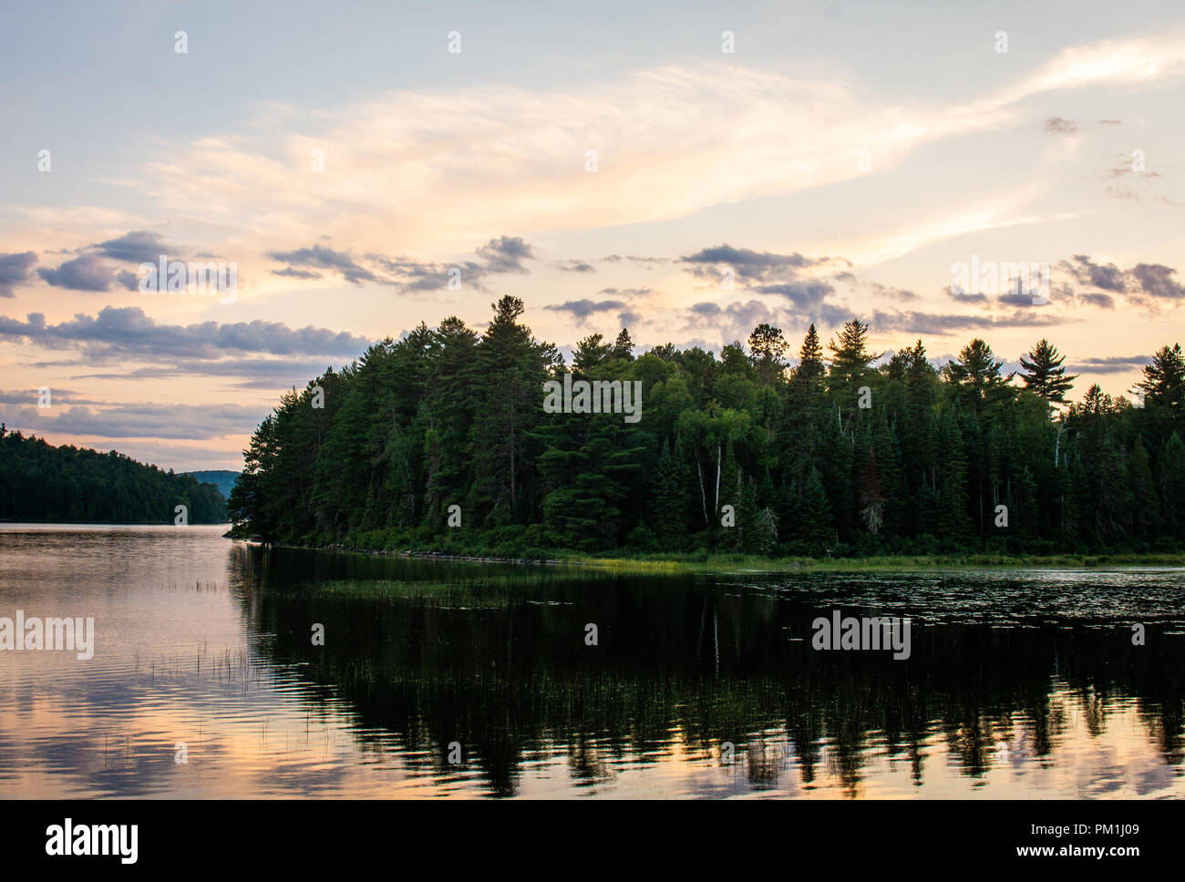 Canadian wilderness evergreen sunset reflection on lake Stock Photo - Alamy