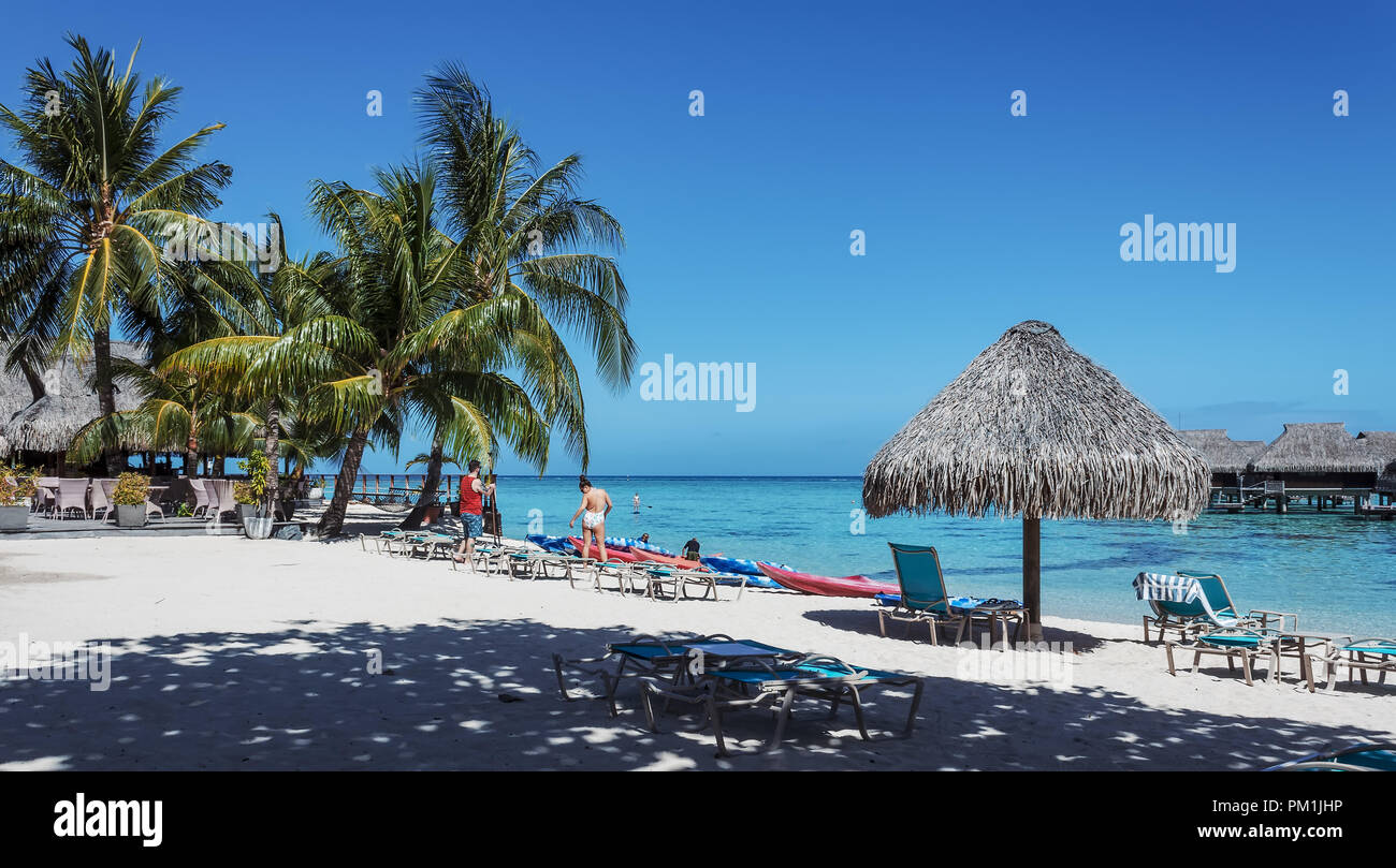 Tropical beach and over water bungalow in Moorea, French Polynesia ...