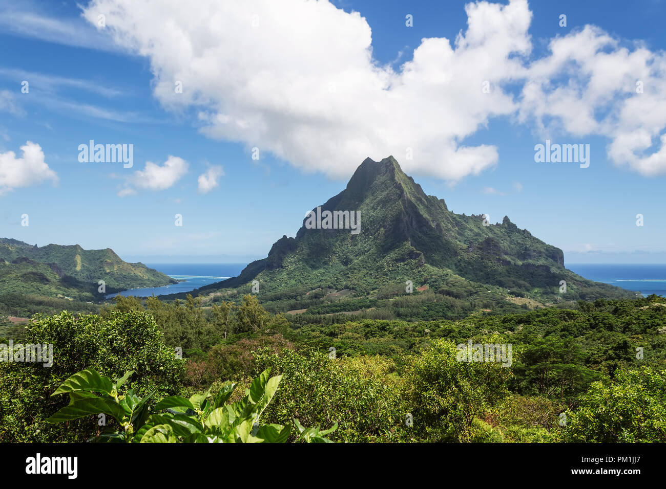 Mountain Tohivea in Moorea, French Polynesia Stock Photo - Alamy