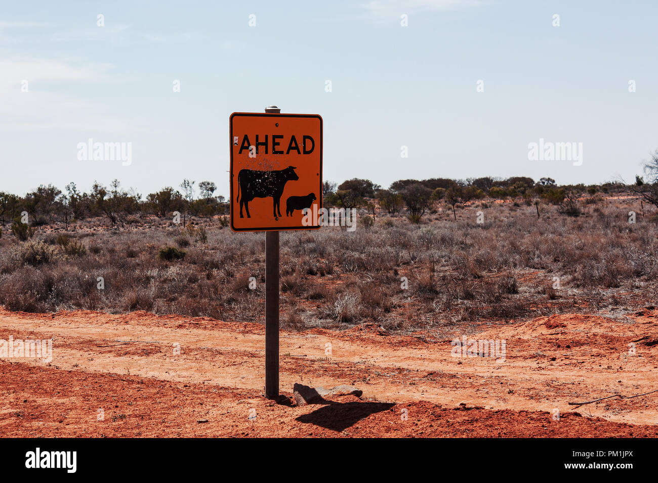 Animals ahead sign in Outback Australia off road Stock Photo - Alamy