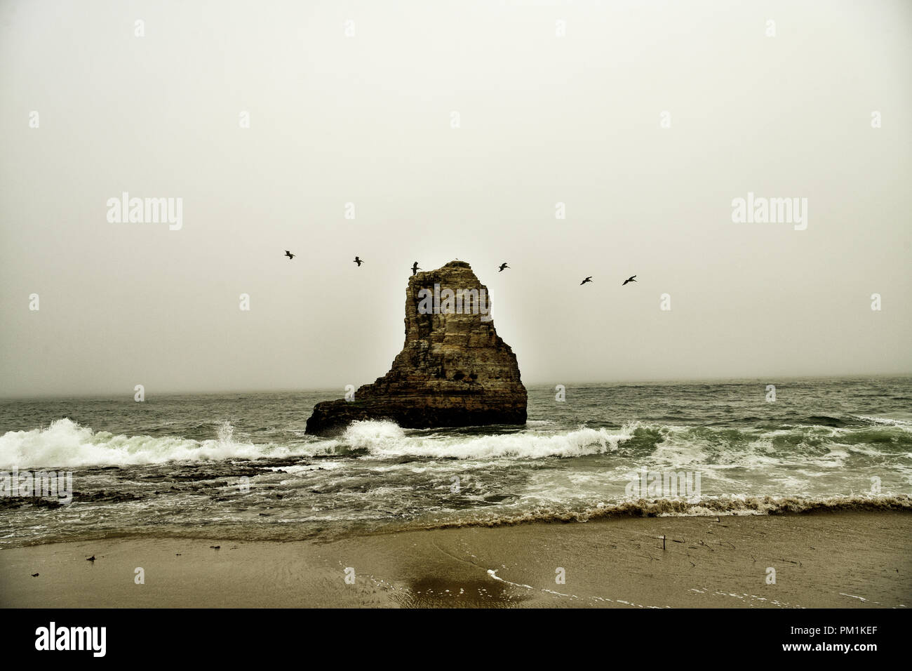 Davenport beach hi-res stock photography and images - Alamy