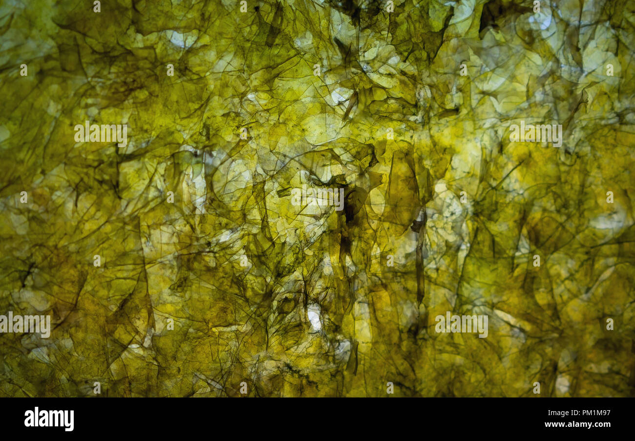 Onigiri texture hi-res stock photography and images - Alamy