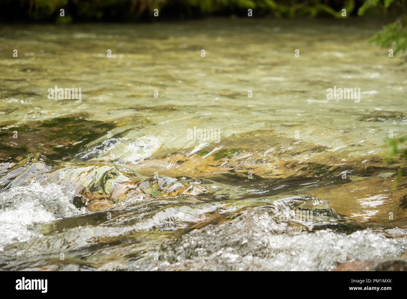 A river of clear water flows fast Stock Photo - Alamy