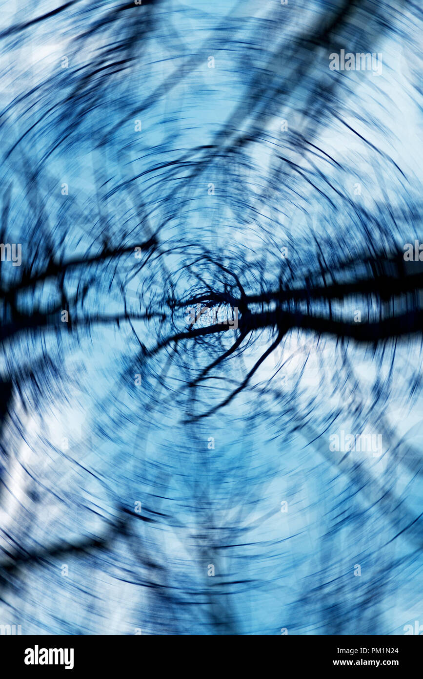 trees with rotatory, spinning effect Stock Photo - Alamy