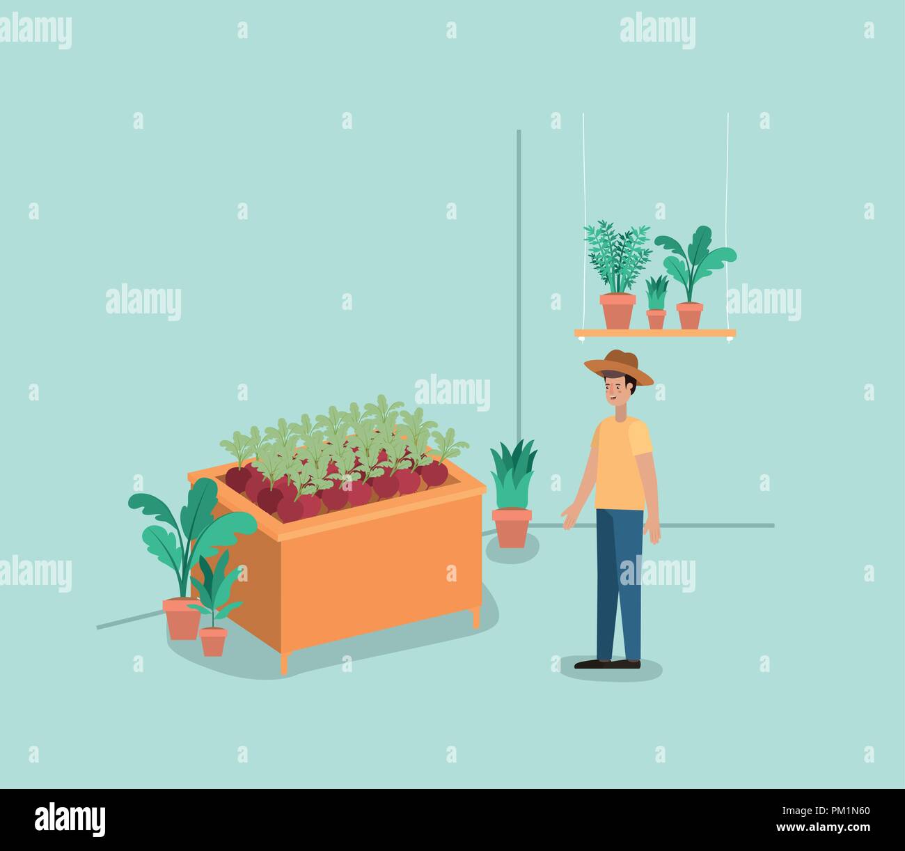 man with plants vivarium in shelving Stock Vector Image & Art - Alamy
