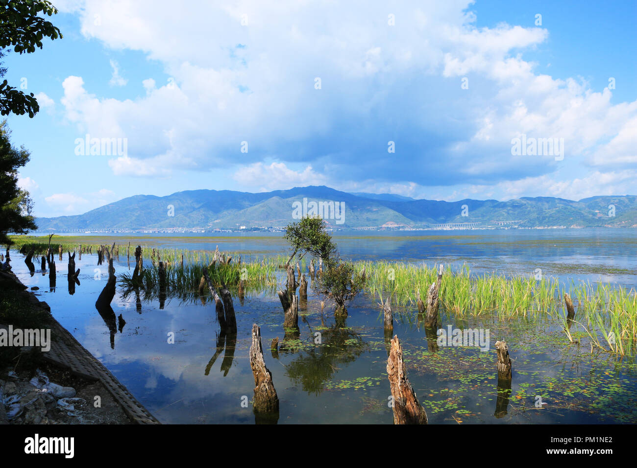 Scenery of er tongue park in erhai lake of Dali, yunnan, China Stock ...