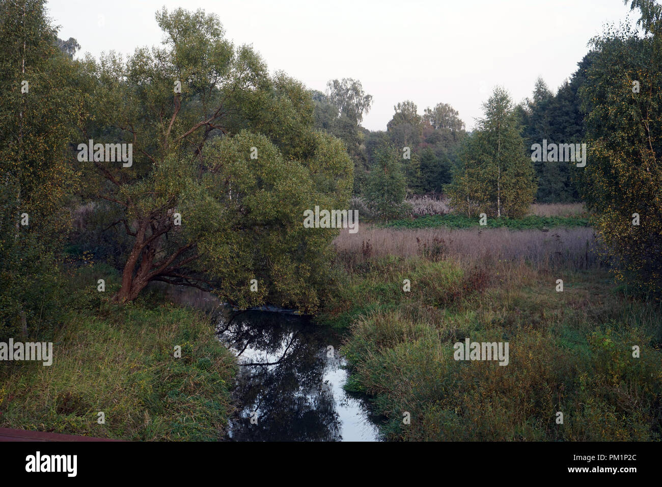 Ucha river hi-res stock photography and images - Alamy