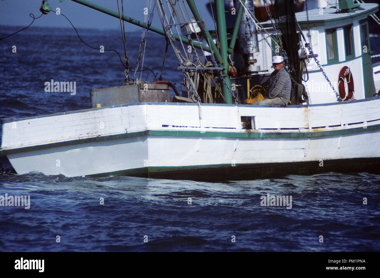 Working shrimp boat on the Gulf Coast of the United States catching ...