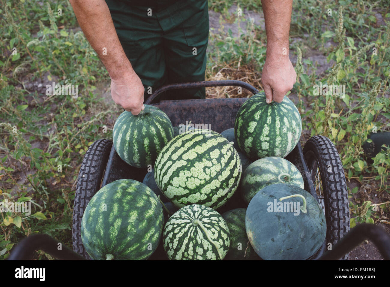 Watermelon wagon hi-res stock photography and images - Alamy