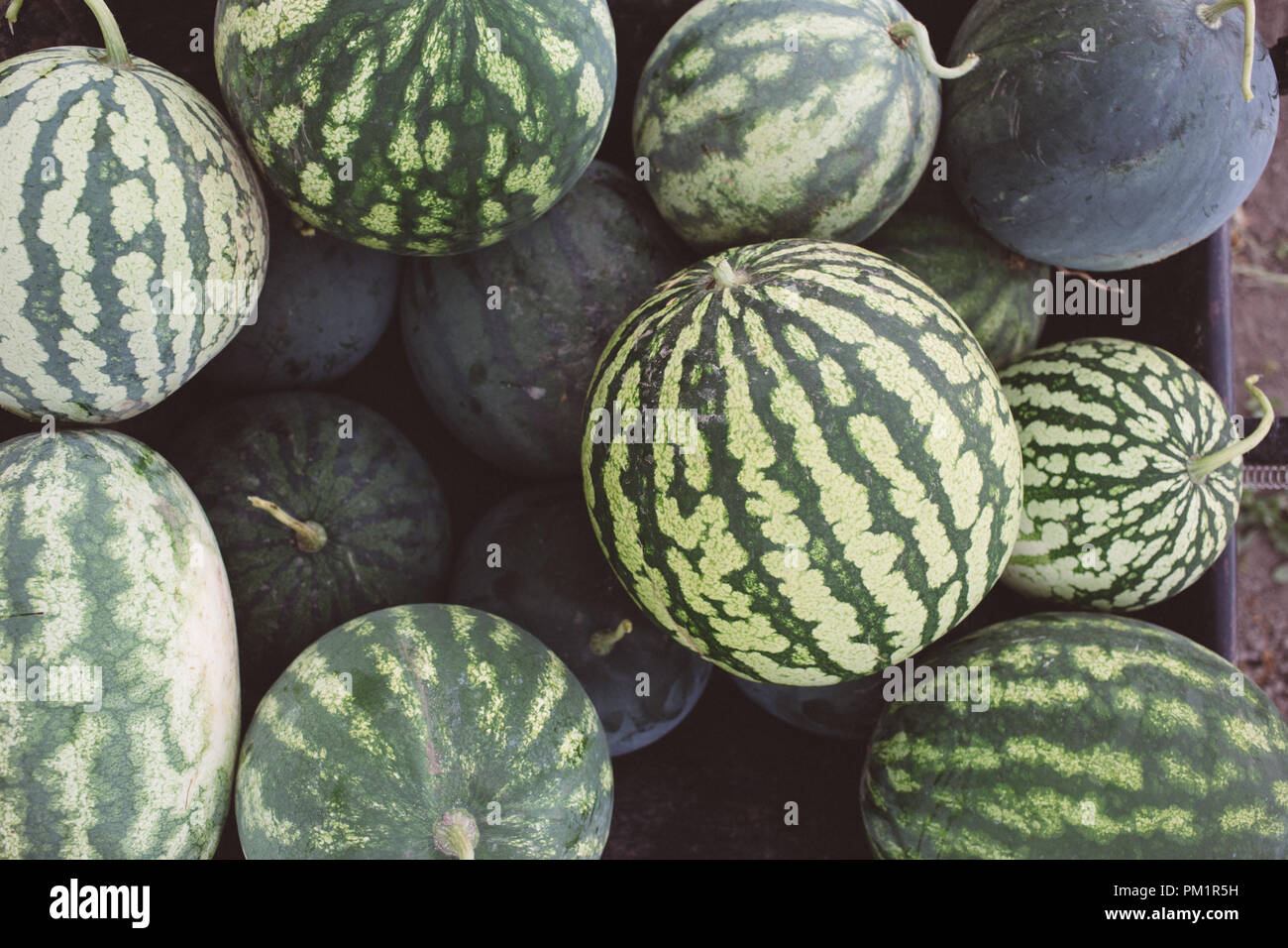 Watermelon wagon hi-res stock photography and images - Alamy