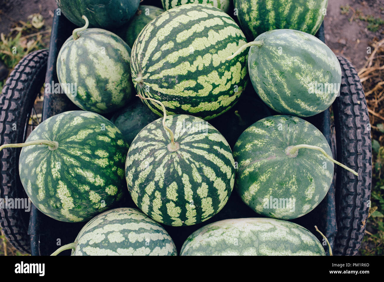 Watermelon wagon hi-res stock photography and images - Alamy