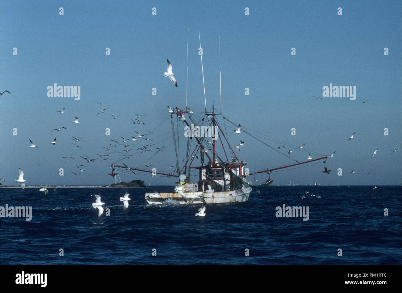Working shrimp boat on the Gulf Coast of the United States catching ...