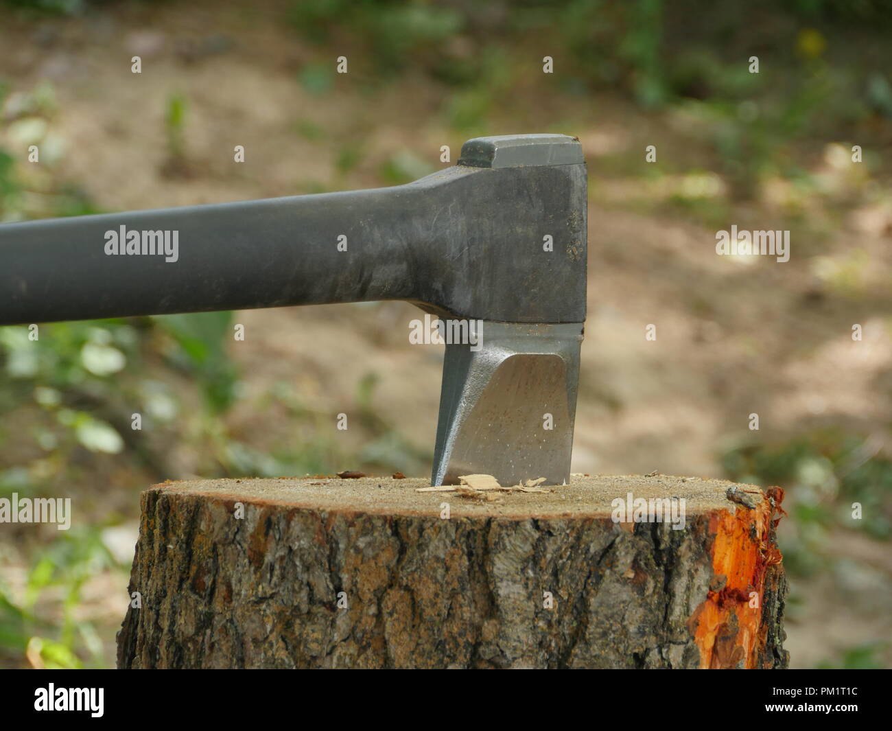 lumberman chopping wood with an ax Stock Photo - Alamy