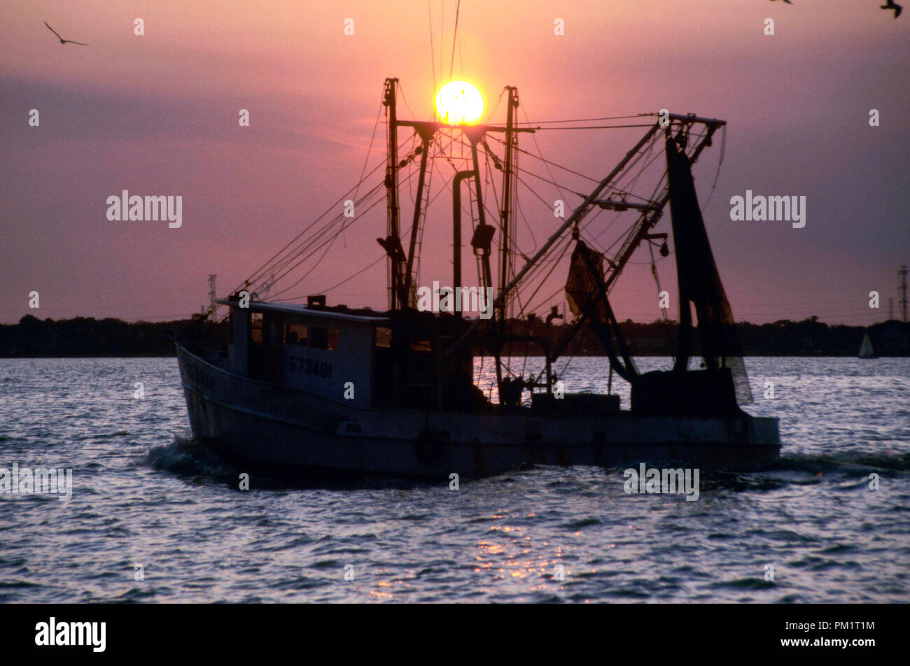 Working shrimp boat on the Gulf Coast of the United States catching ...