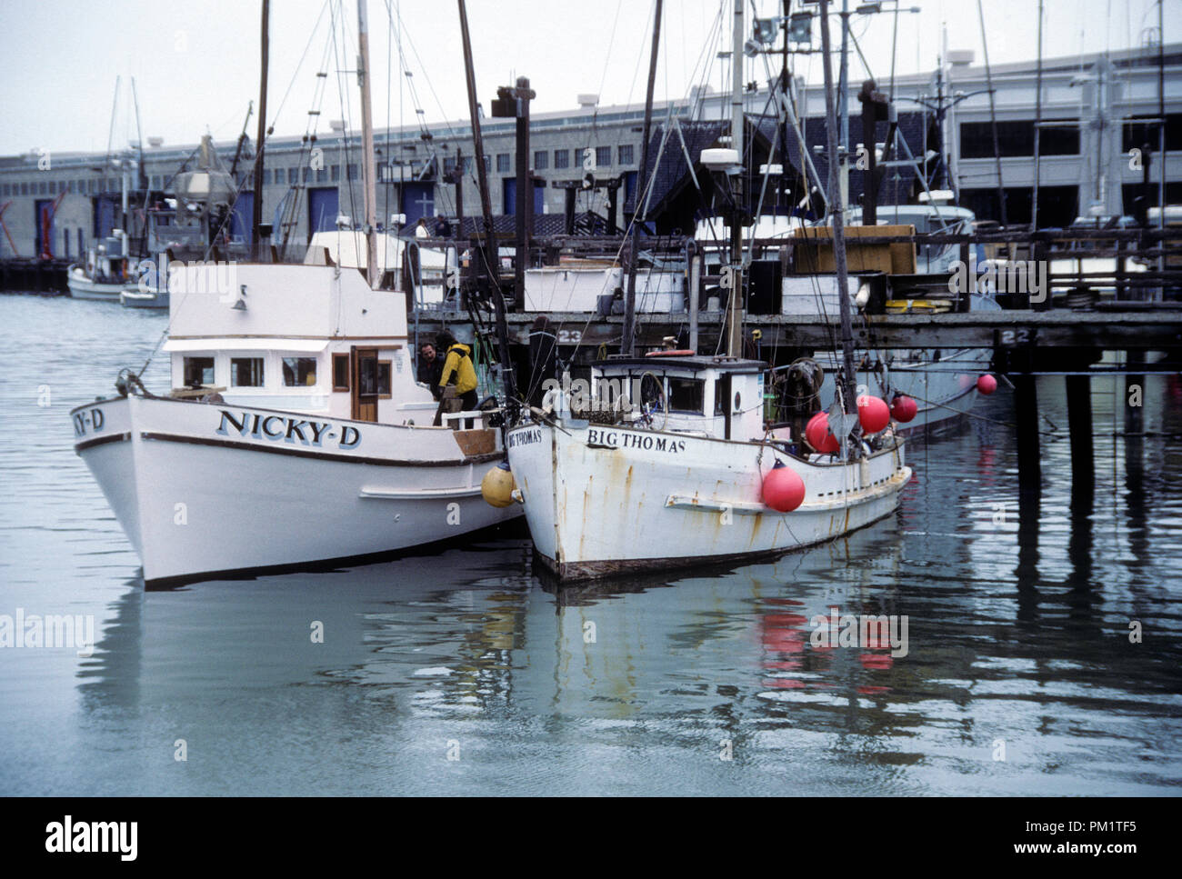 Working Fishing Boats in the United States catching fresh wild shrimp ...