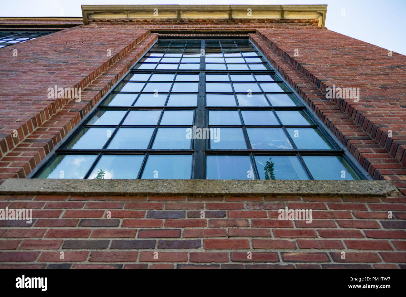 perspective shots of some nice windows that are reflecting the sky ...