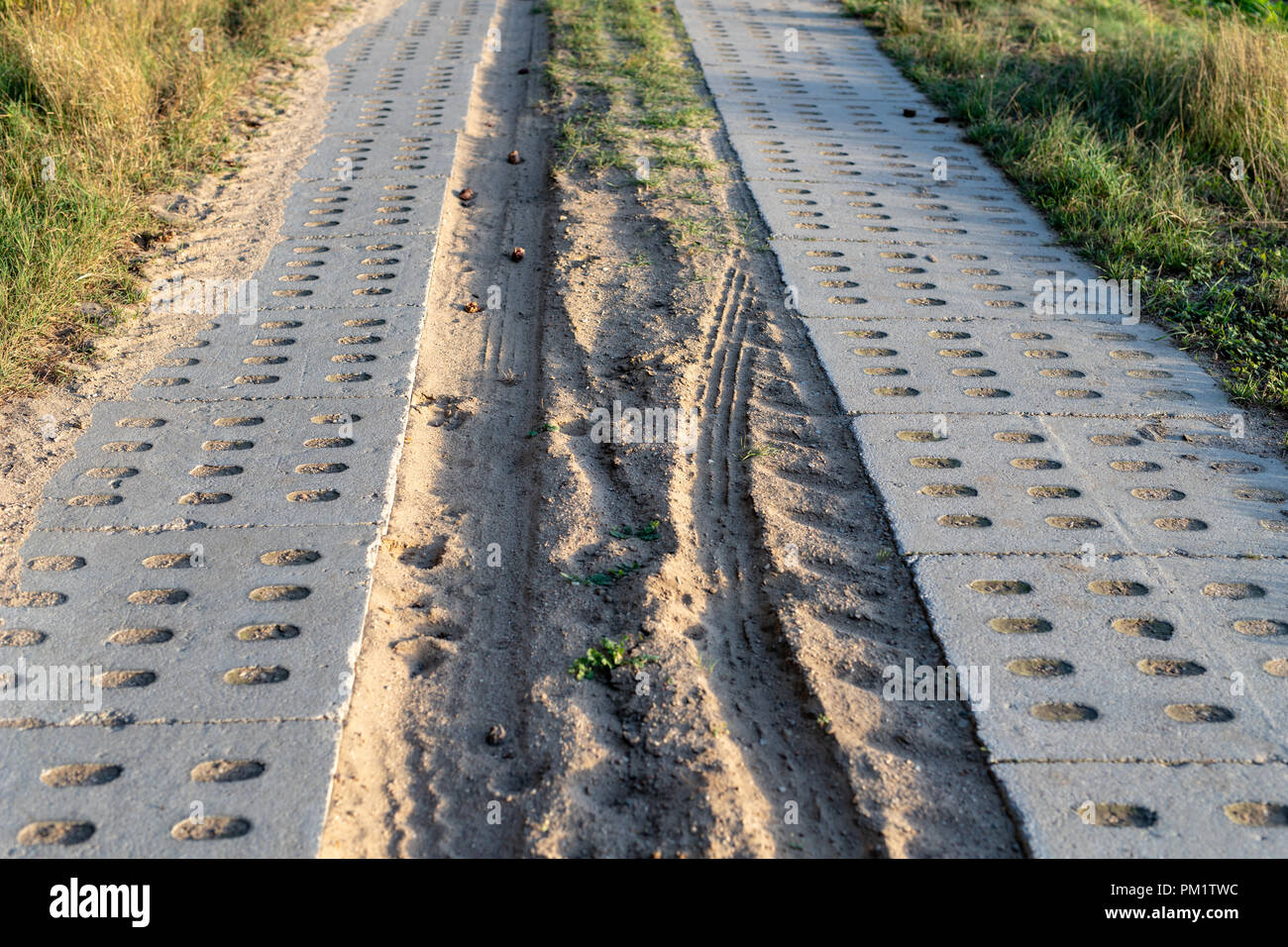 A dirt road leading to the edge of the forest paved with concrete slabs ...