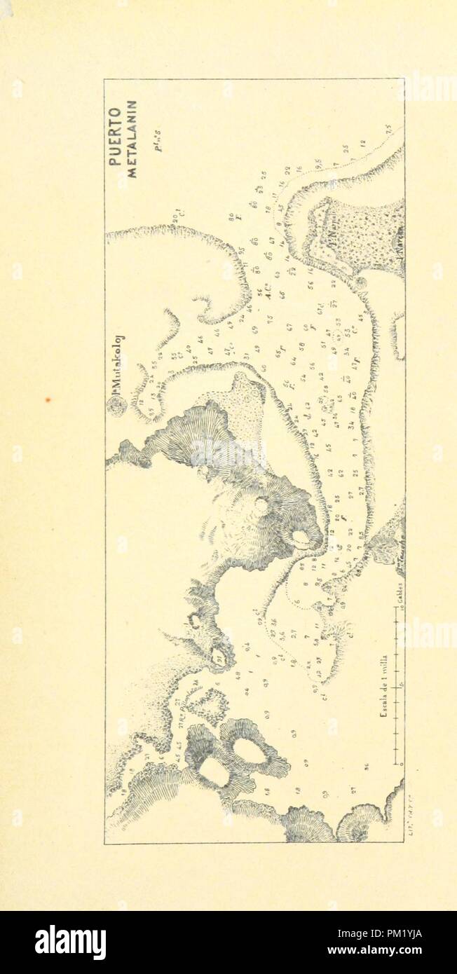 Image from page 61 of 'Estudios sobre Carolinas. La isla de Ponapé ...