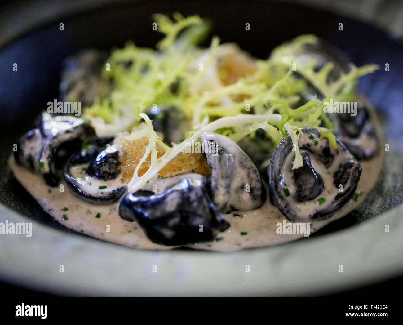 Photo of macro delicious dumplings with pike caviar and salad Stock ...