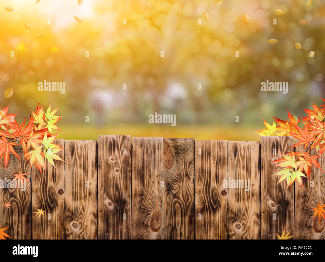 wooden fence in the garden with fall background in autumn season Stock ...