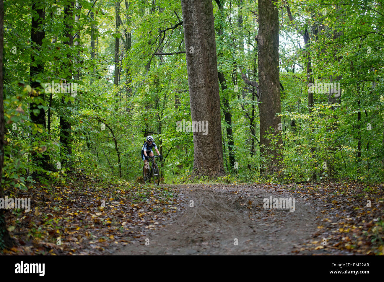 Marlboro cup hi-res stock photography and images - Alamy