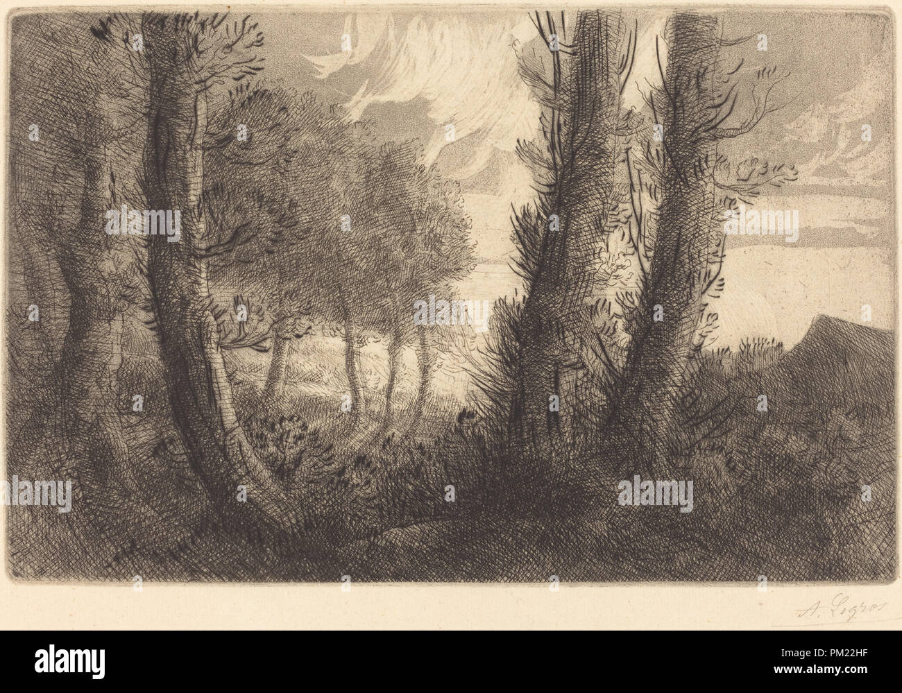Landscape (Paysage). Medium: etching, drypoint and aquatint. Museum ...