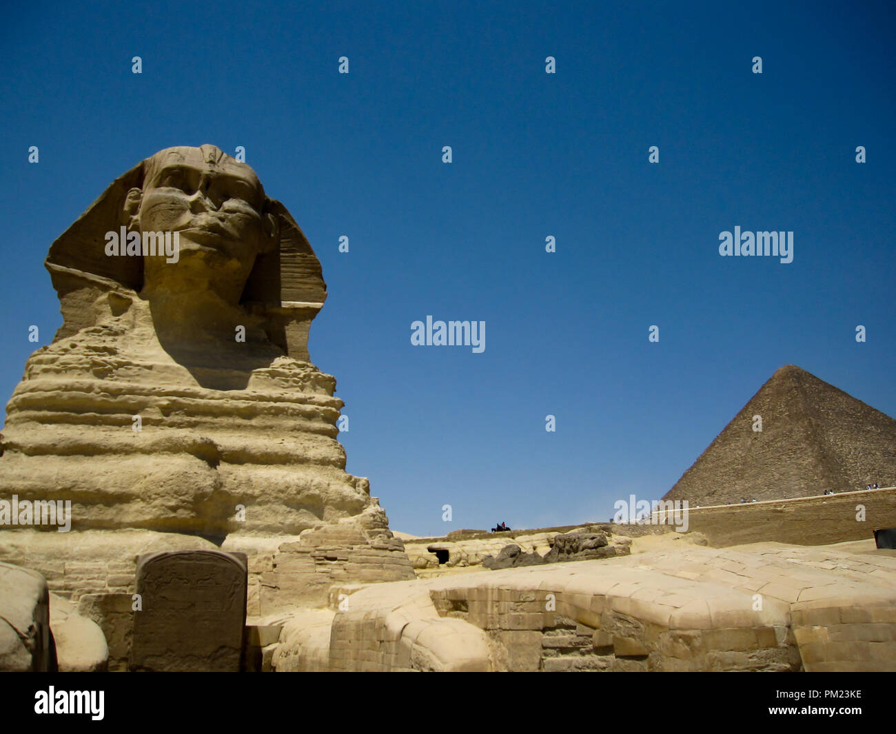 Close up views of the Great Sphinx of Giza, Egypt in a limited access ...