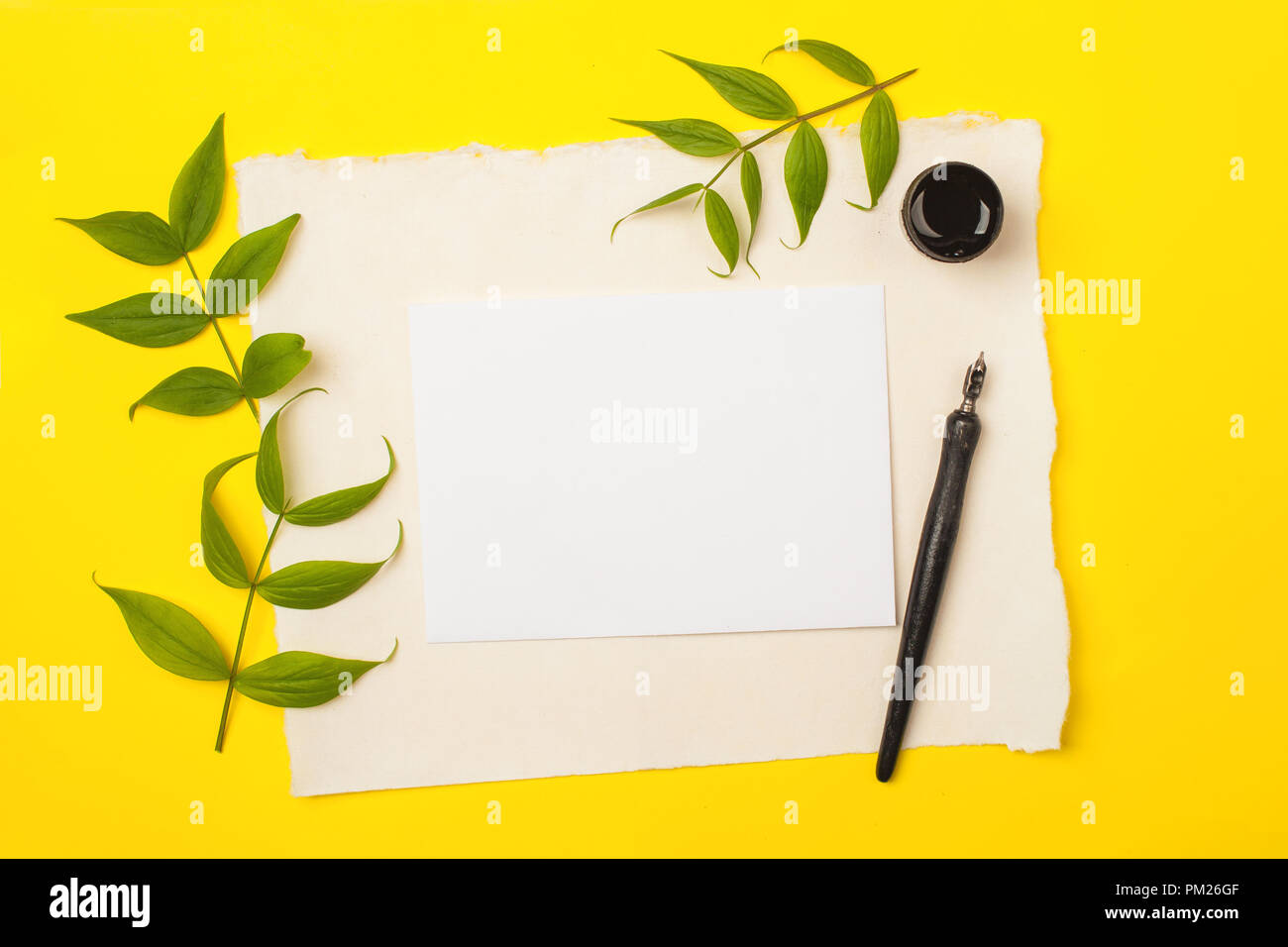 Paper, ink and calligraphy pens. Lettering workshop details. Blank for ...