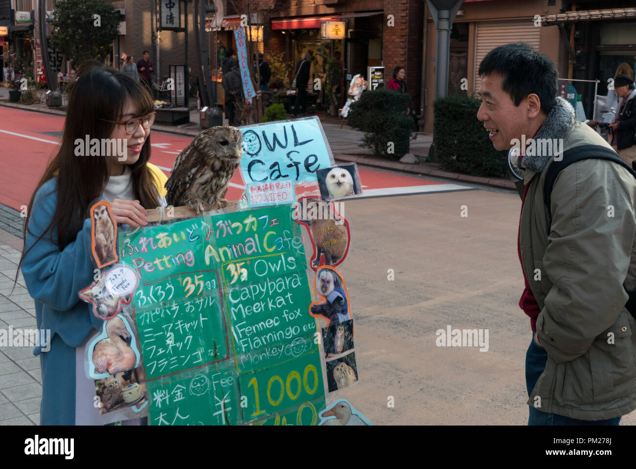 Young Japanese woman advertising and promoting local bar where ...