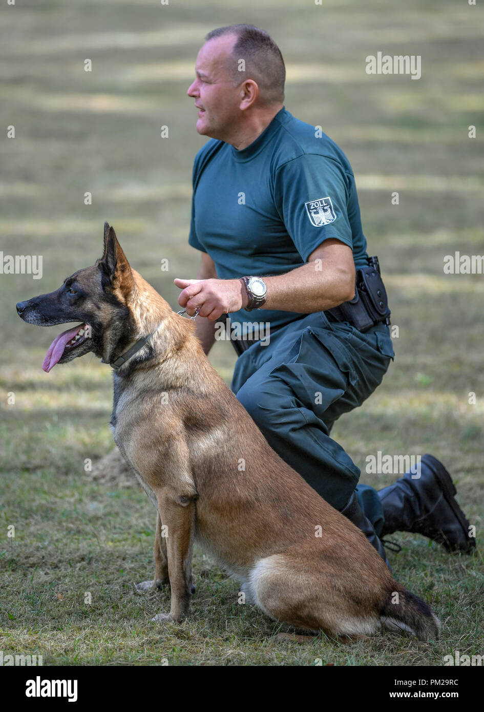 Drug detection dogs hi-res stock photography and images - Alamy