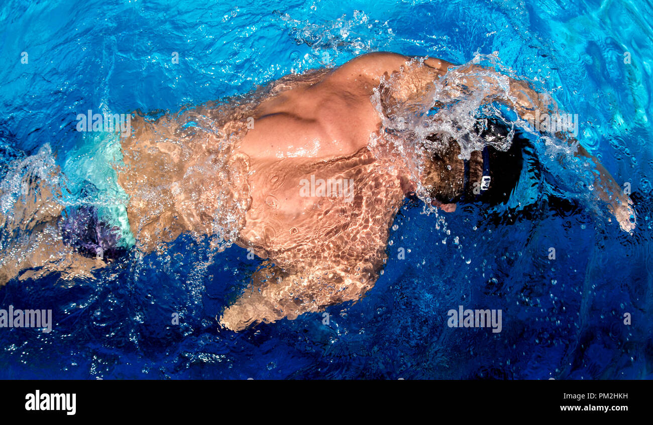 17 September 2018, Lower Saxony, Hannover: Martin swimming in the ...