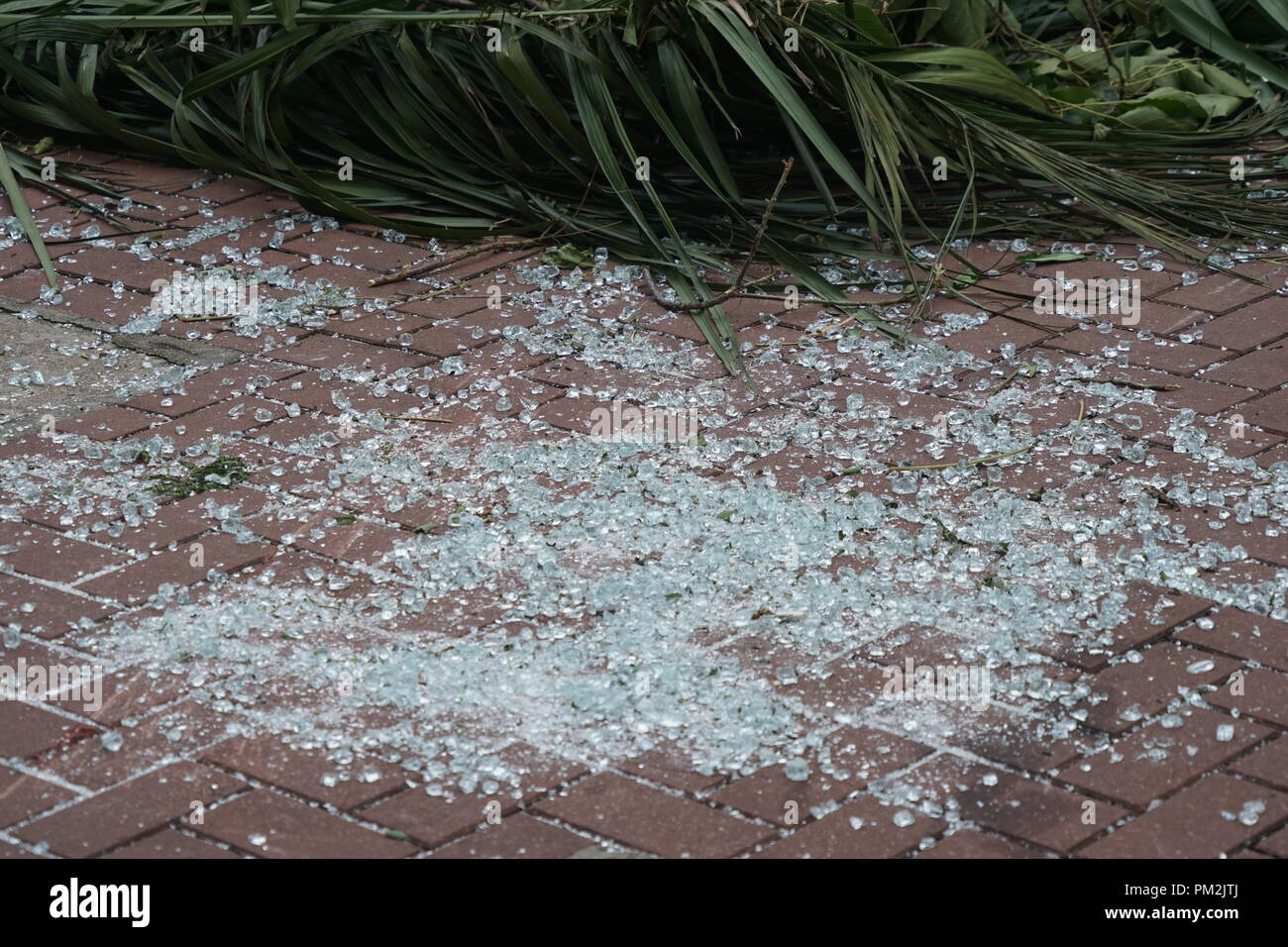 Hong kong cleanup hi-res stock photography and images - Alamy