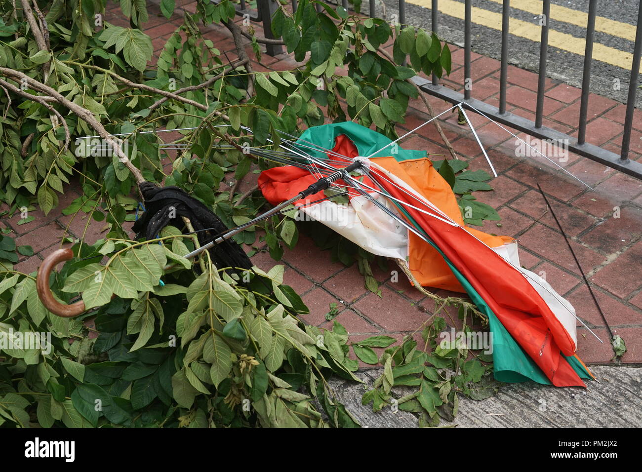 An outdoor umbrella blown over onto the pavement, surrounded by fallen ...