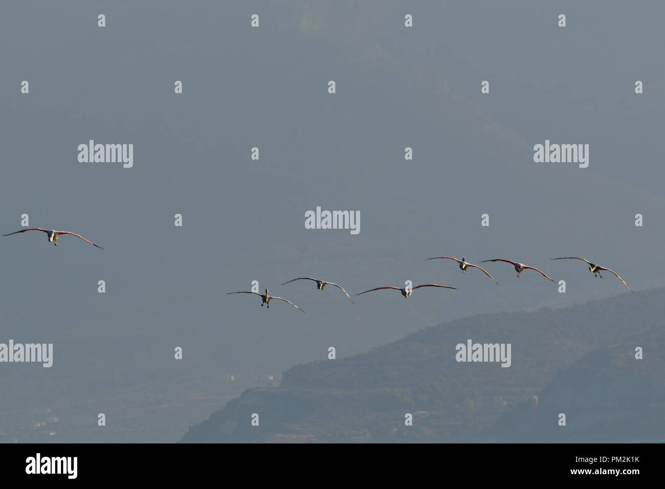 Nea Kios High Resolution Stock Photography and Images - Alamy