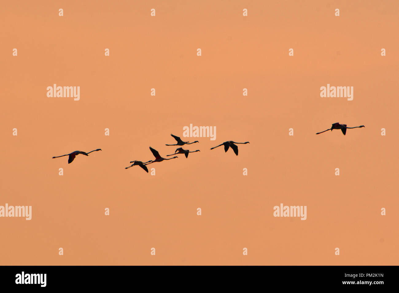 Nea kios hi-res stock photography and images - Alamy