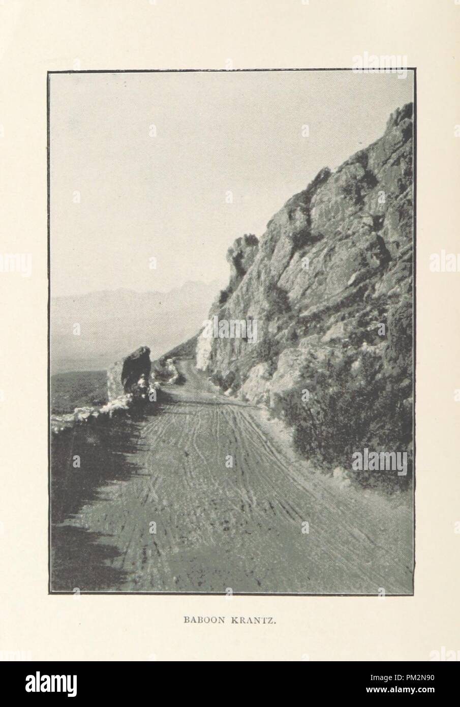 Africander hi-res stock photography and images - Alamy