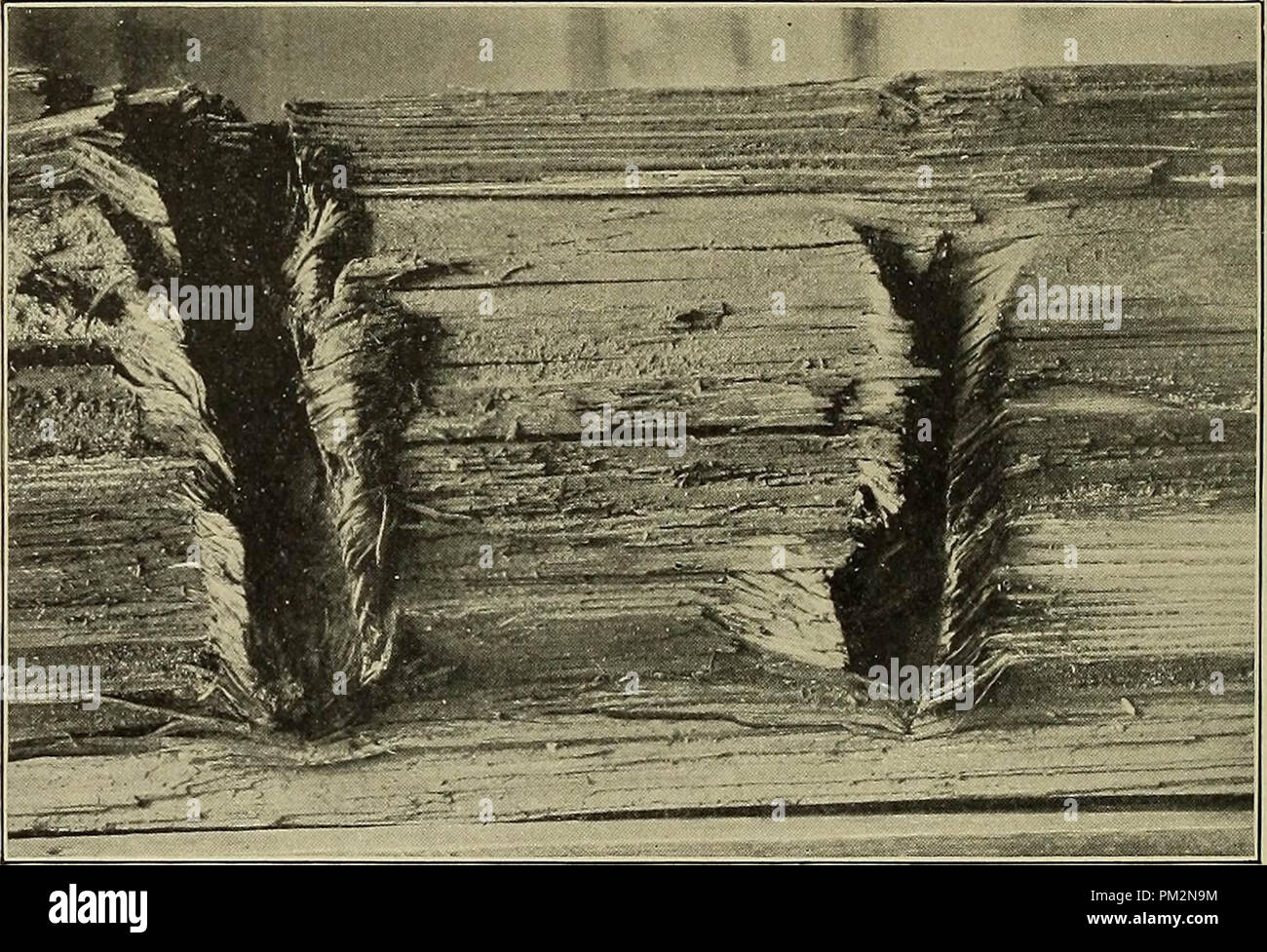 "Steel rails; their history, properties, strength and manufacture, with ...