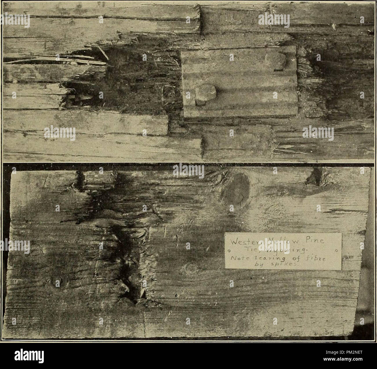 "Steel rails; their history, properties, strength and manufacture, with ...