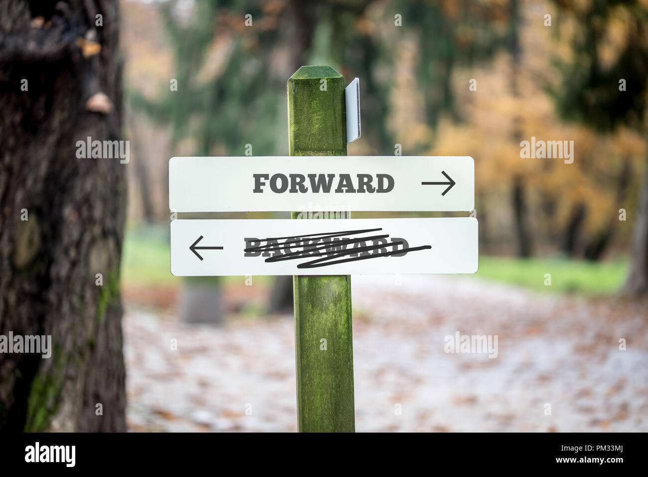 Rural signboard with two signs saying - Forward - Backward - pointing ...