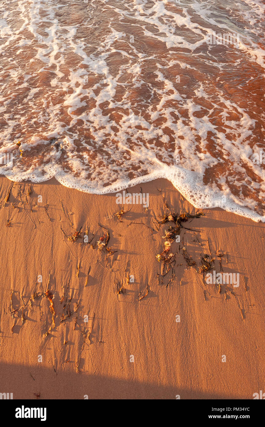 Red sand close-up at Thunder Cove Beach, PEI, Canada Stock Photo - Alamy