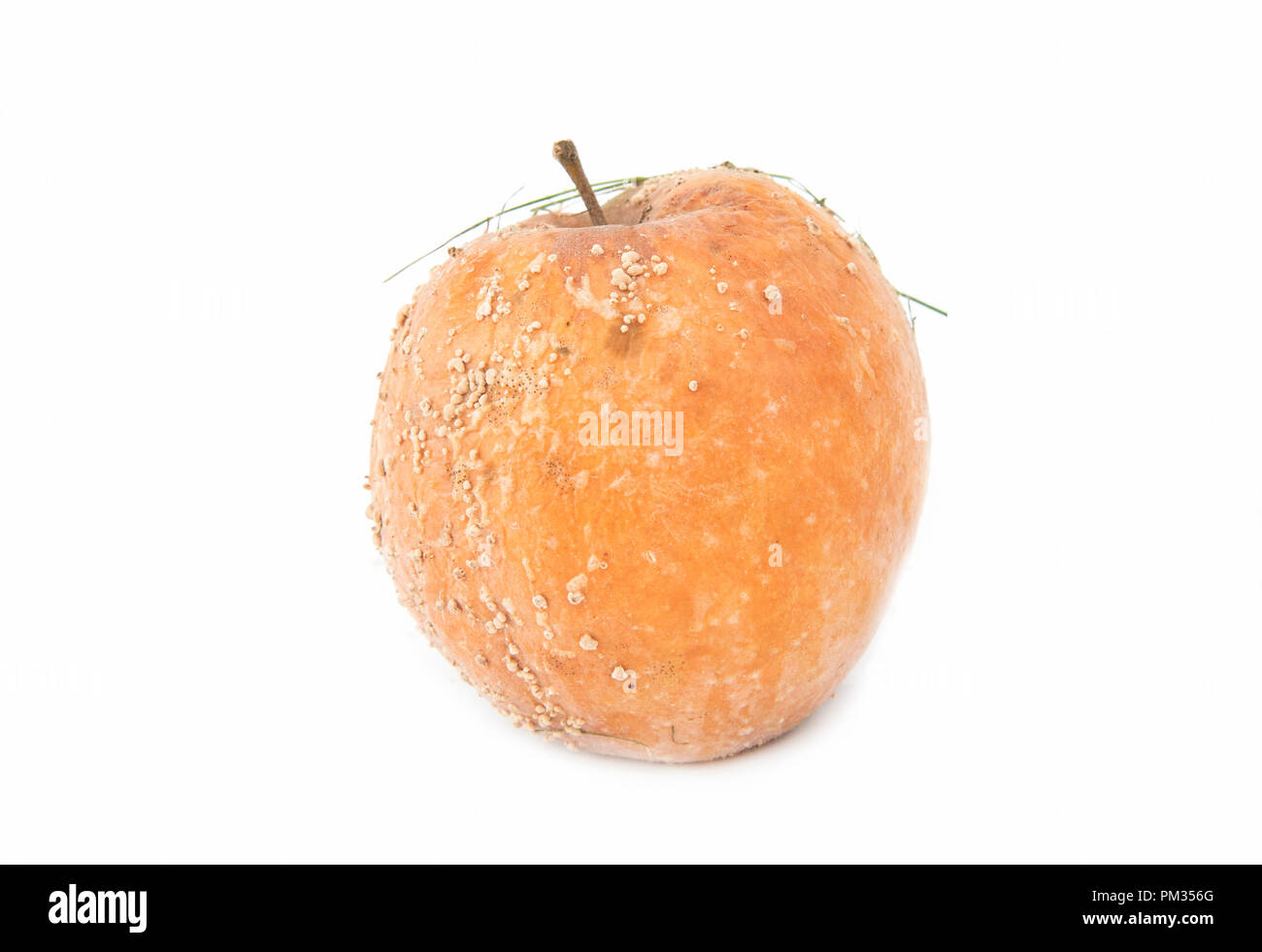 rotten apple is isolated on a white background Stock Photo - Alamy