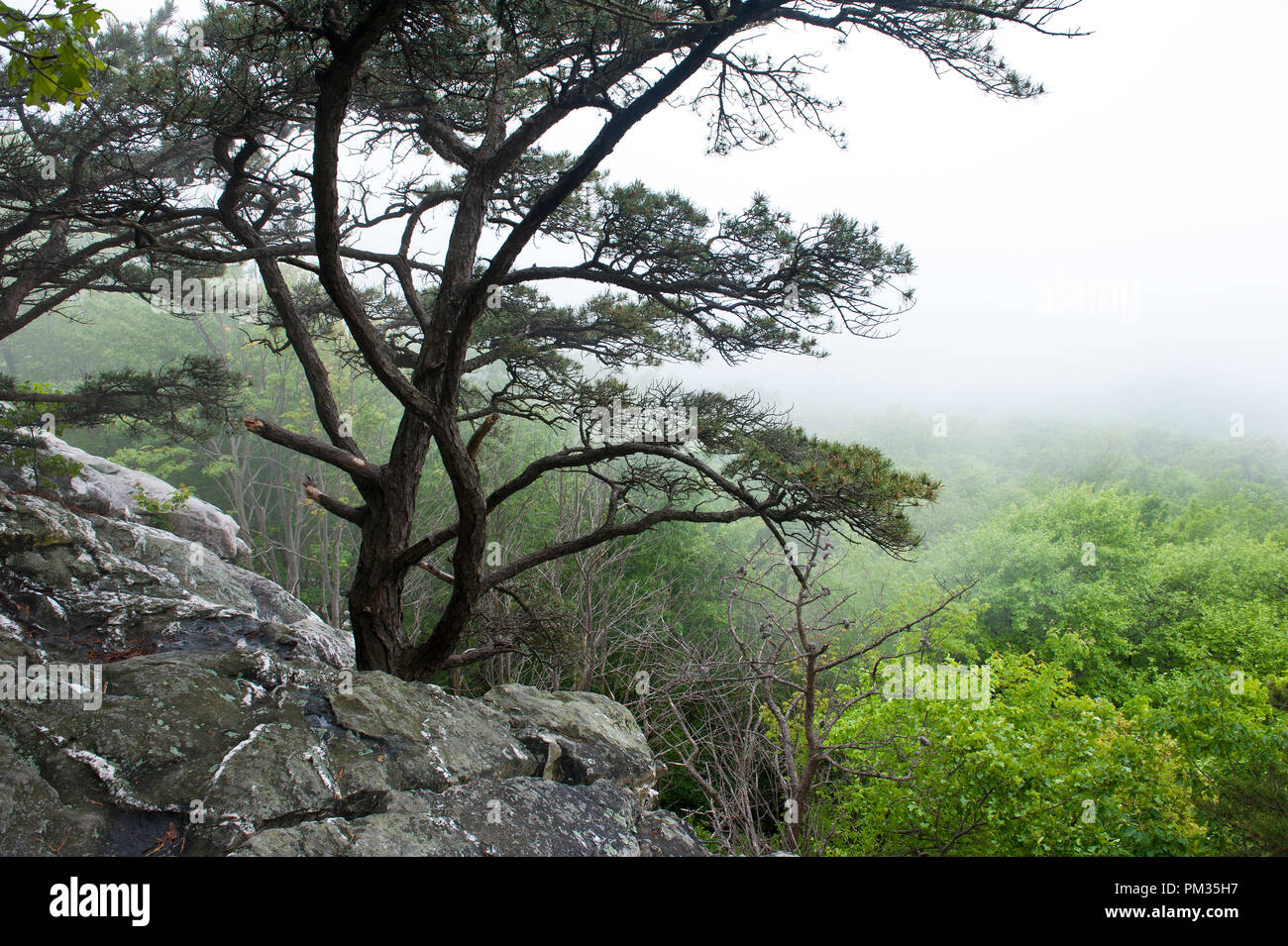 Bears den rock overlook hi-res stock photography and images - Alamy