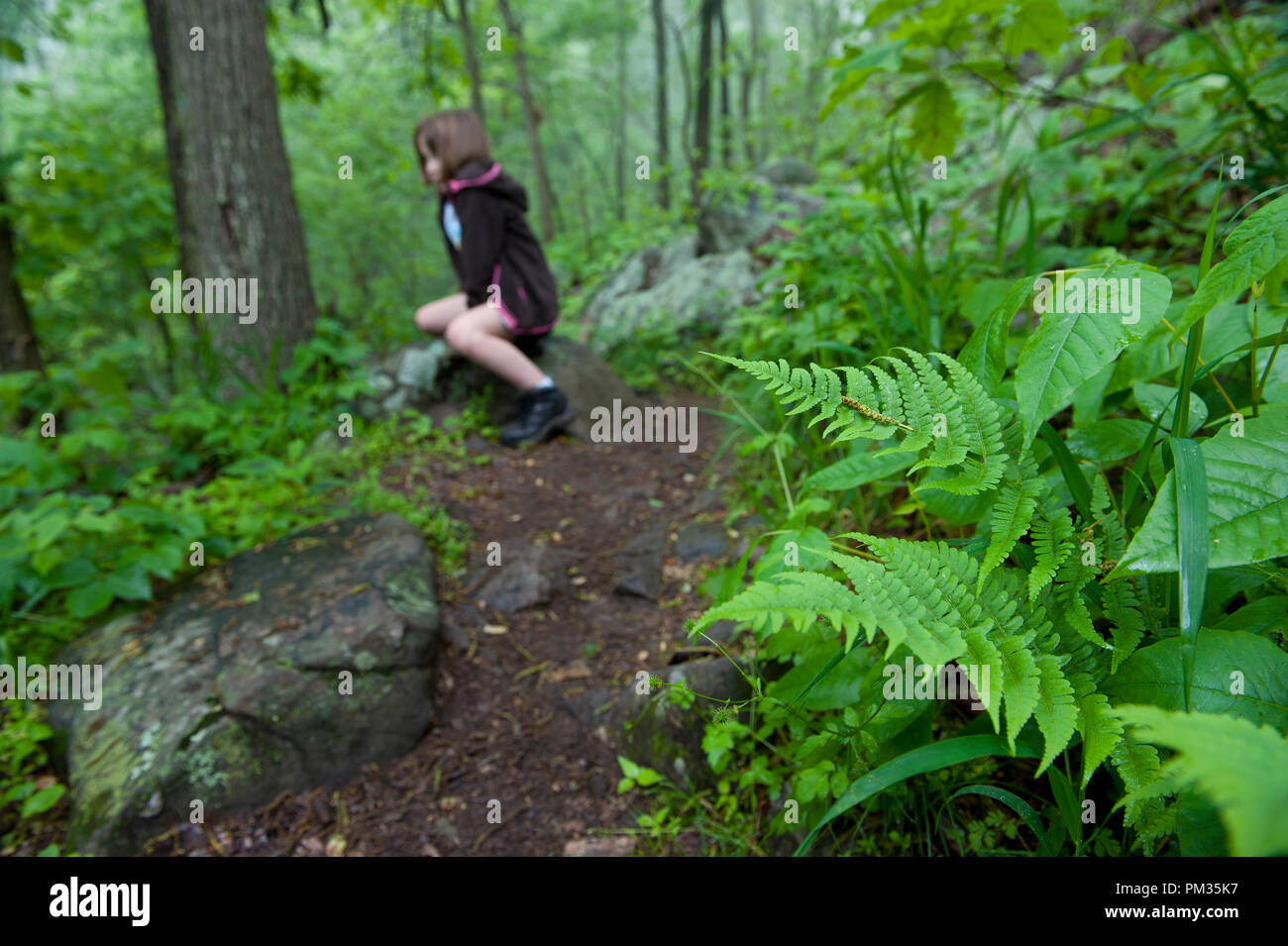 Bears den rock overlook hi-res stock photography and images - Alamy