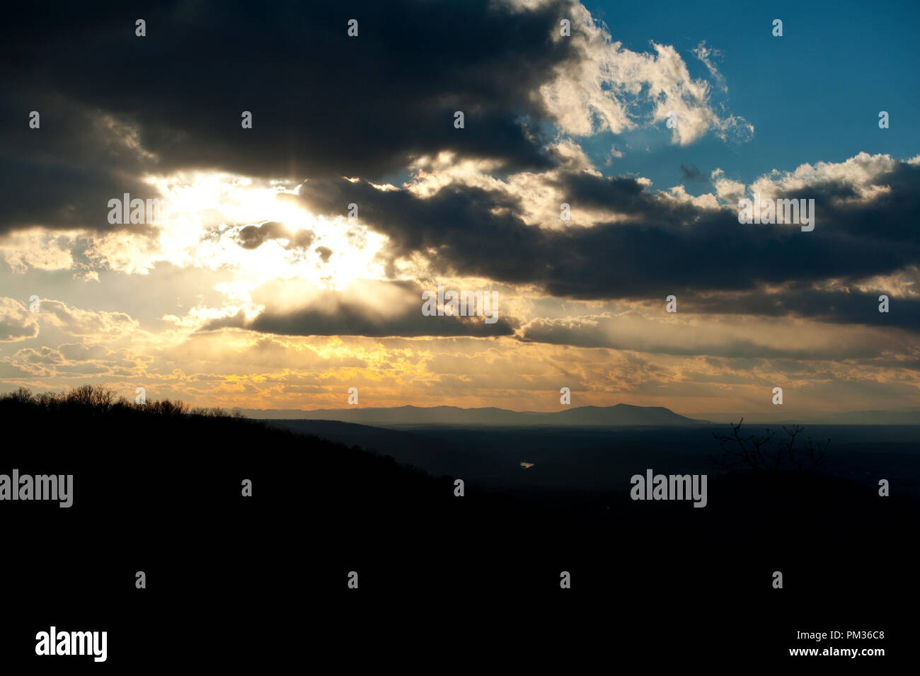 Usa water clean air forest nature hi-res stock photography and images ...