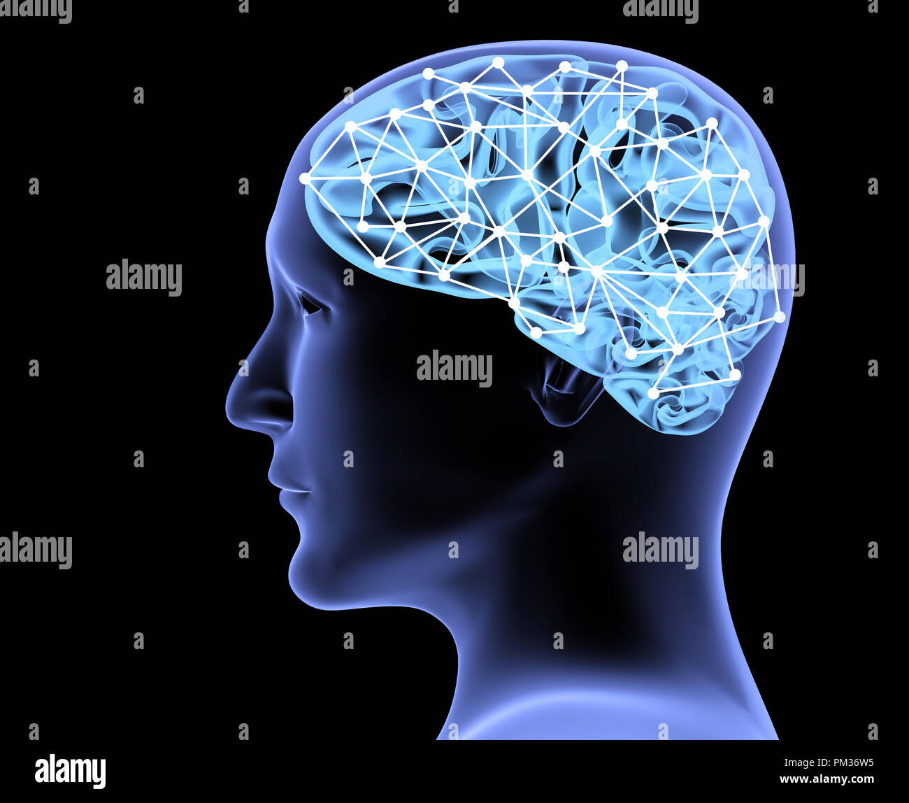 Transparent head of man and neural network of brain. Isolated on black ...