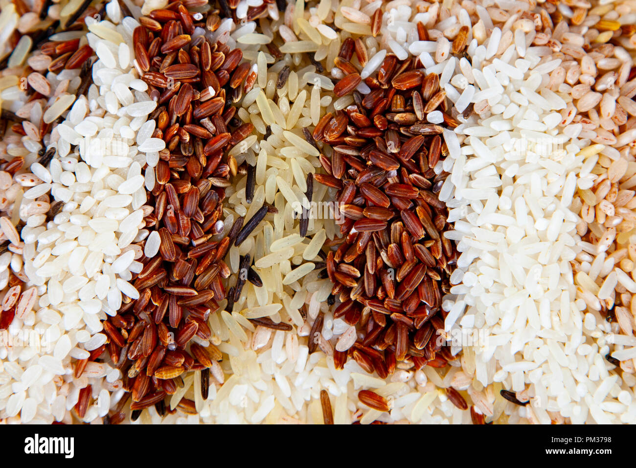 Different grades of rice. Ingredient for a healthy diet Stock Photo - Alamy