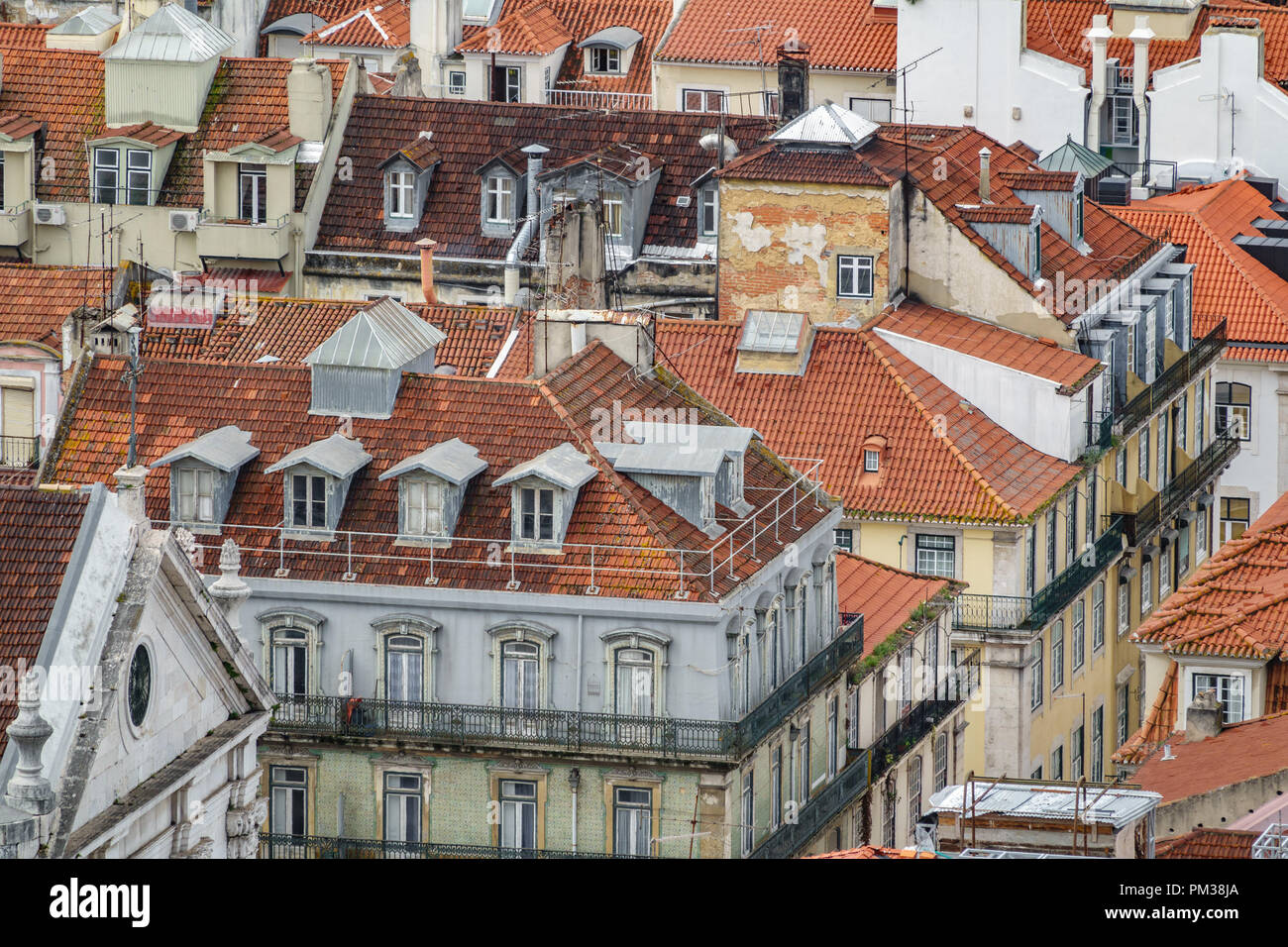 Long tile hi-res stock photography and images - Alamy