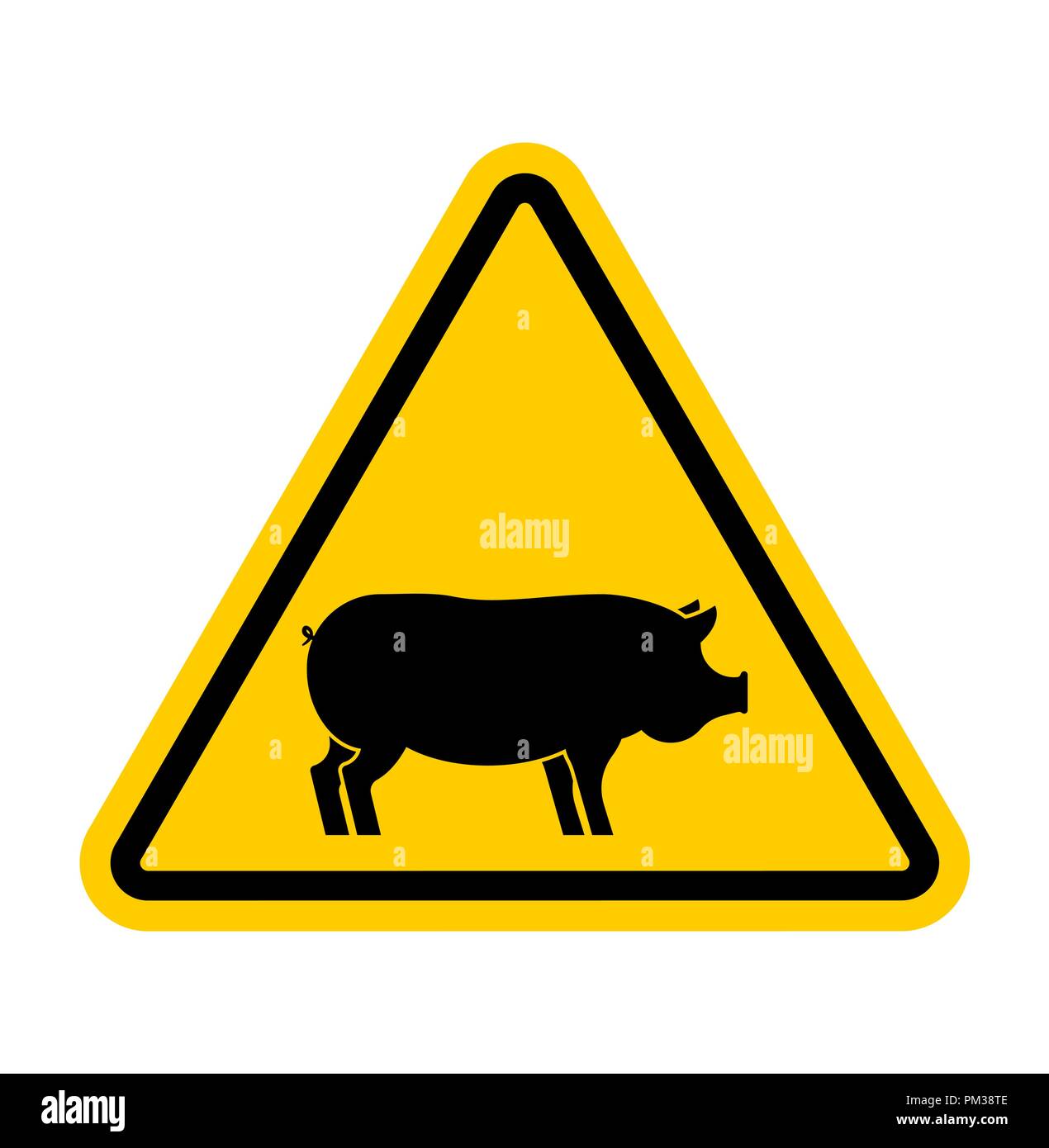 Attention pig. Yellow road sign danger. Caution swine. Vector ...